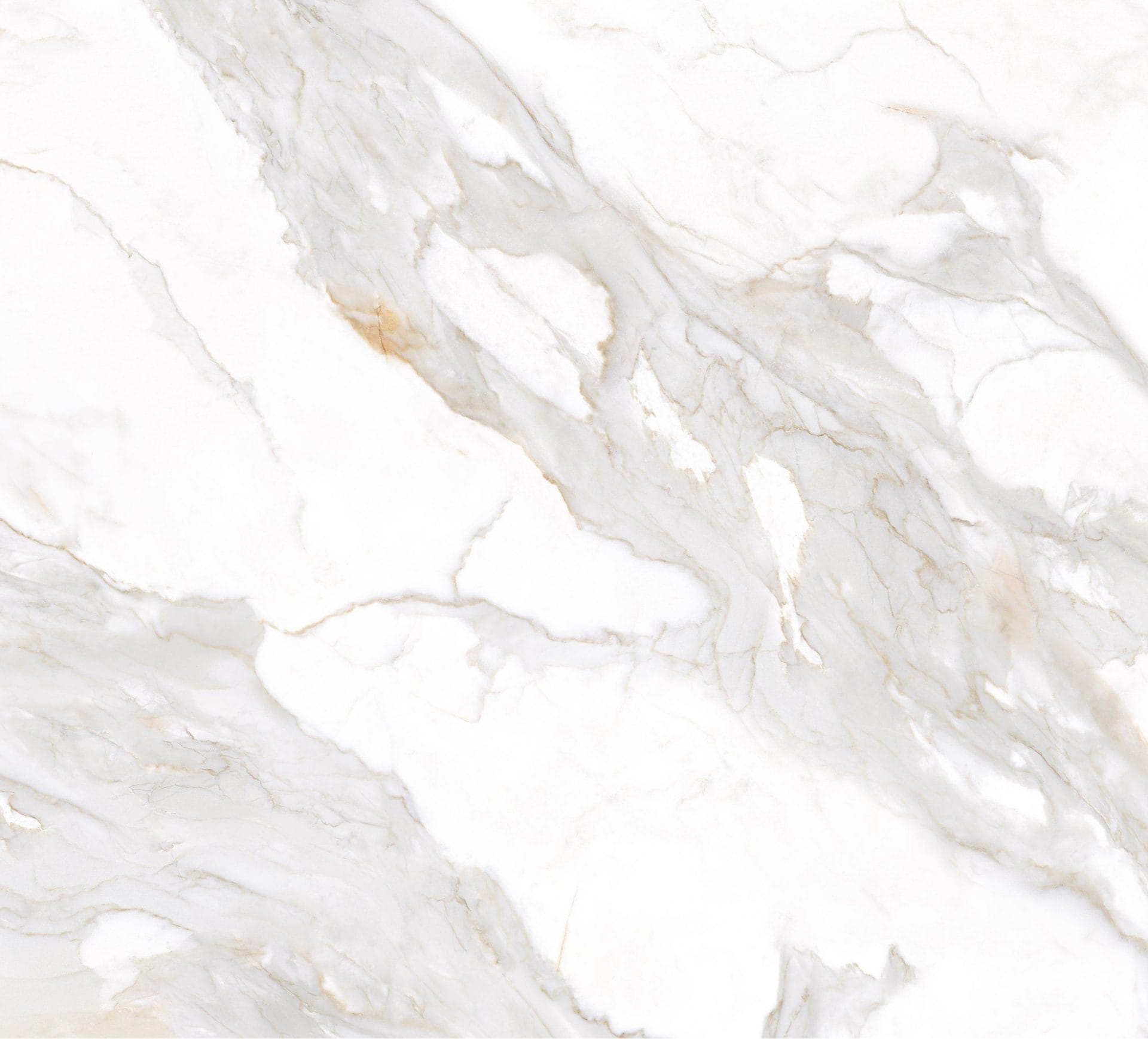 Calacatta Gold OQ535 LOW SILICA – Westcoast Granite