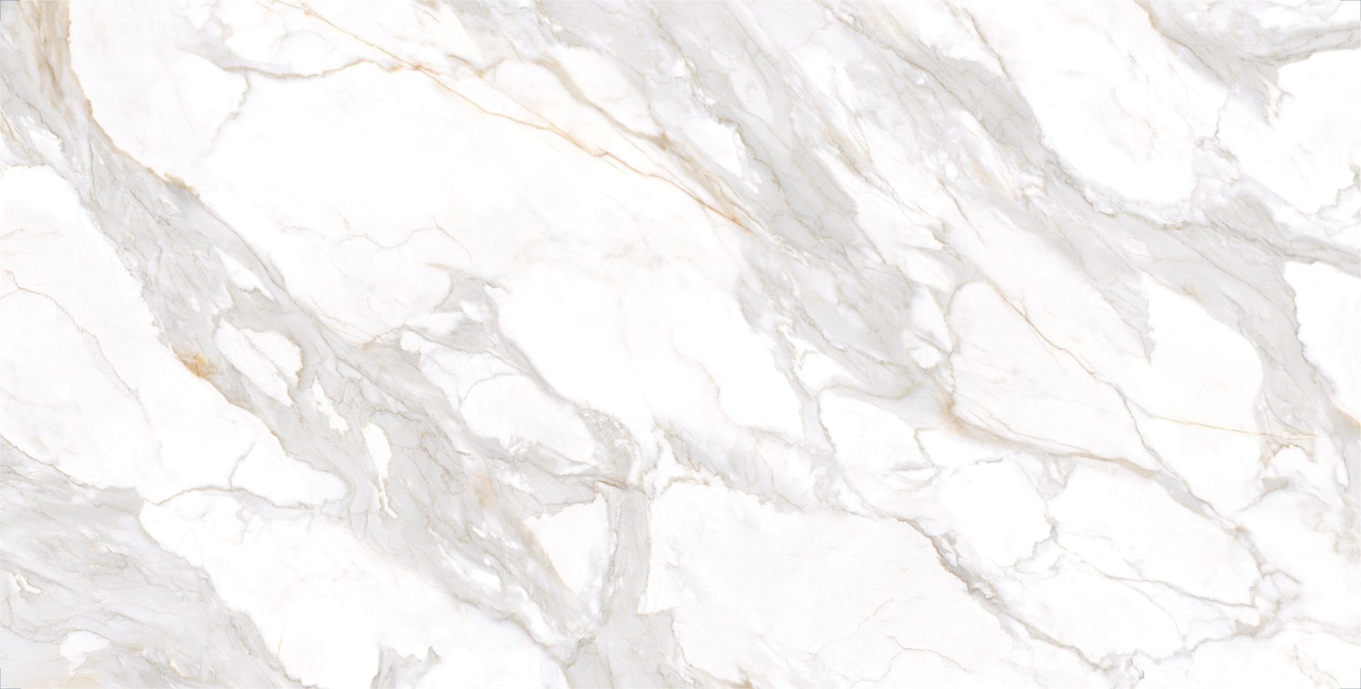 Calacatta Gold OQ535 LOW SILICA – Westcoast Granite