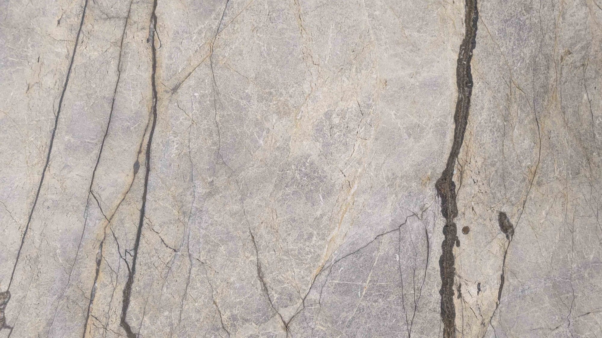 Silver Roots – Westcoast Granite